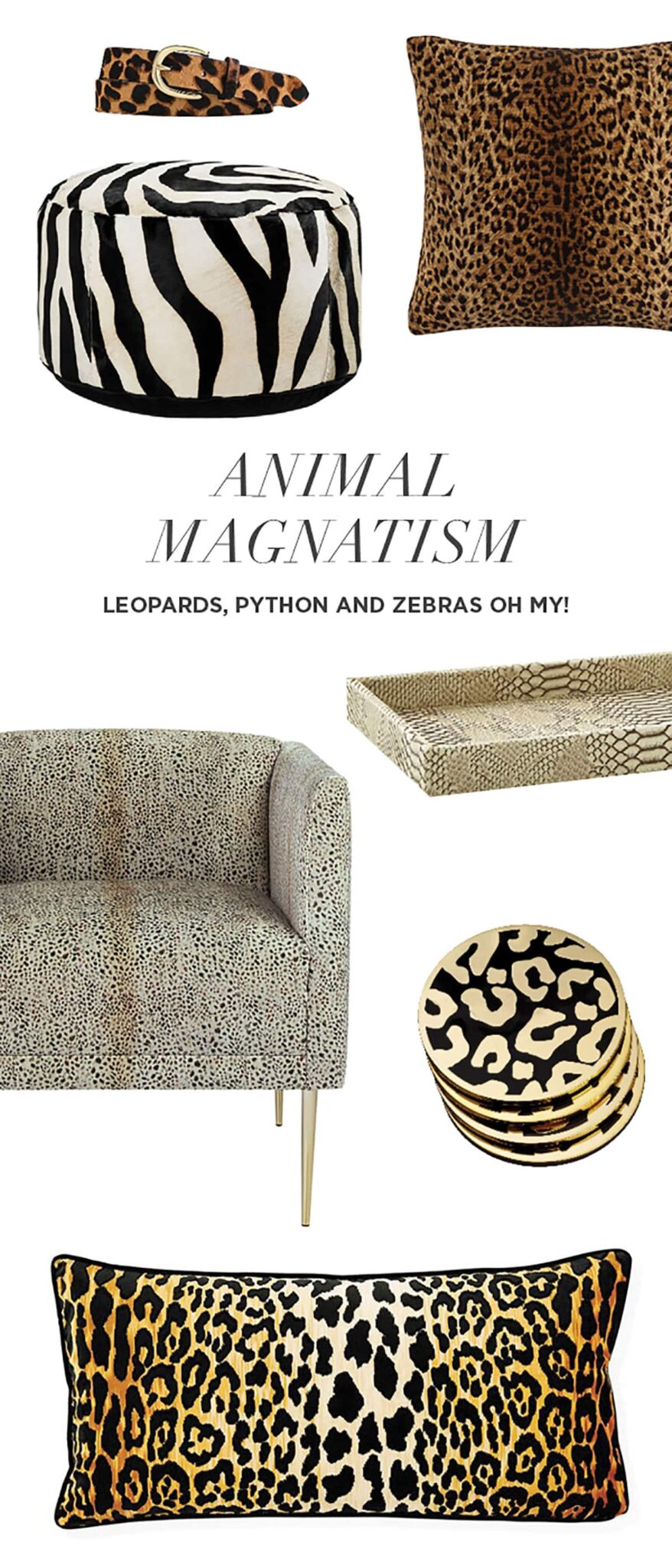Animal Prints In Home Decor - House Of Hipsters