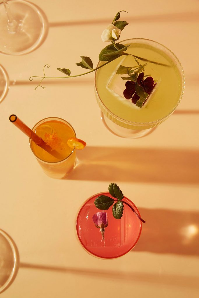 Beautiful Distractions No. 27 | House Of Hipsters