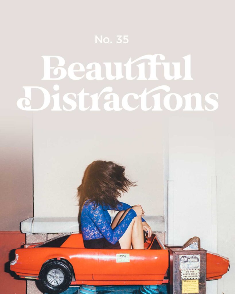 Beautiful Distractions No. 35 - House Of Hipsters
