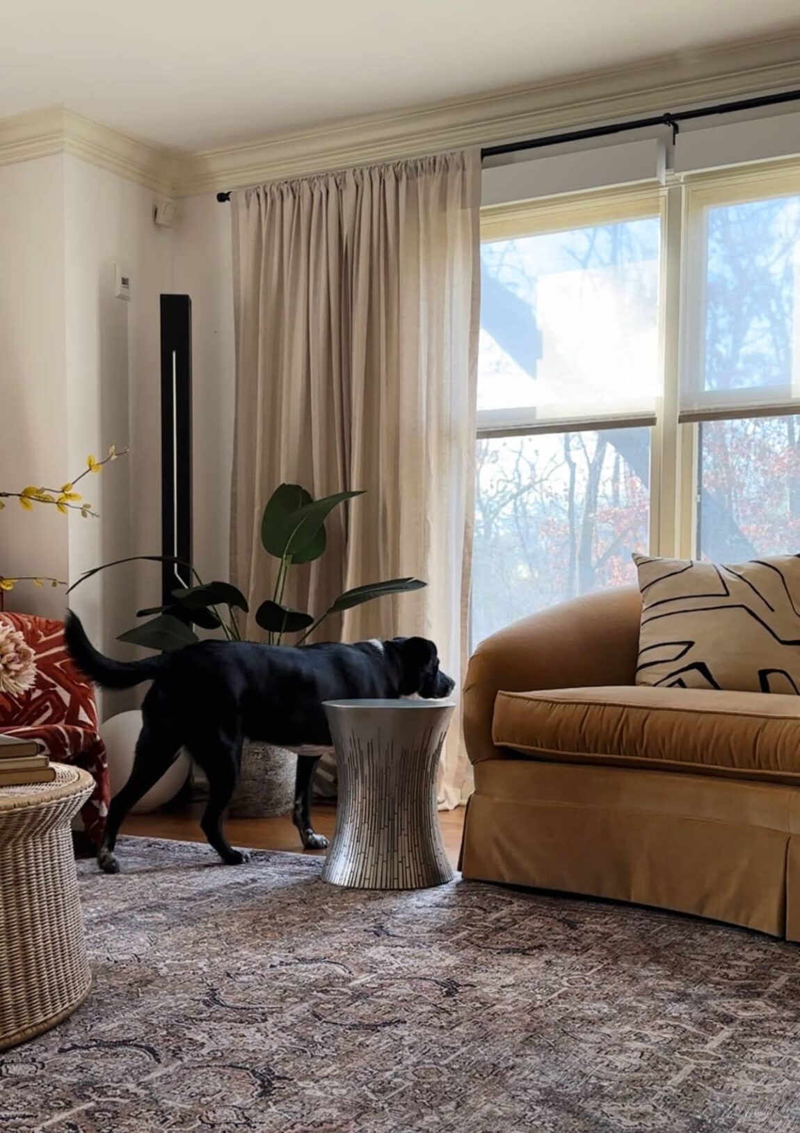 Easy Ways To Add Smart Lighting To Your Home - House Of Hipsters